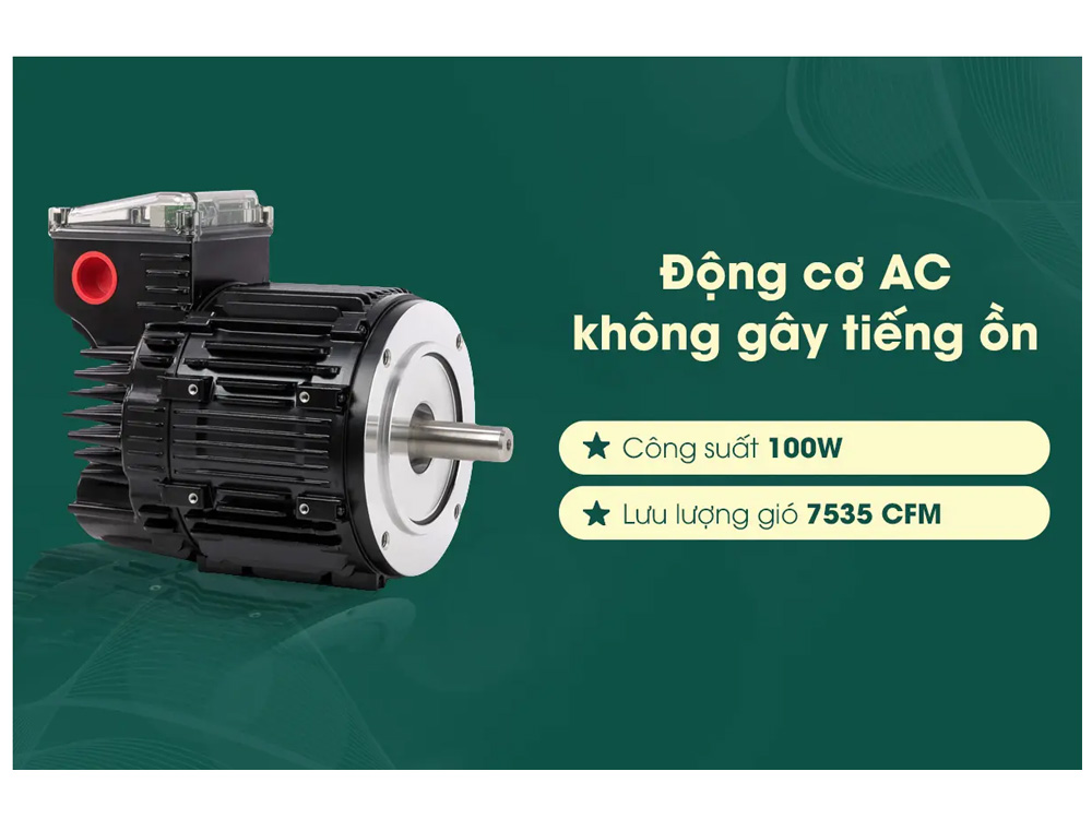 Quạt trần Hunter Savoy 24520 - META.vn