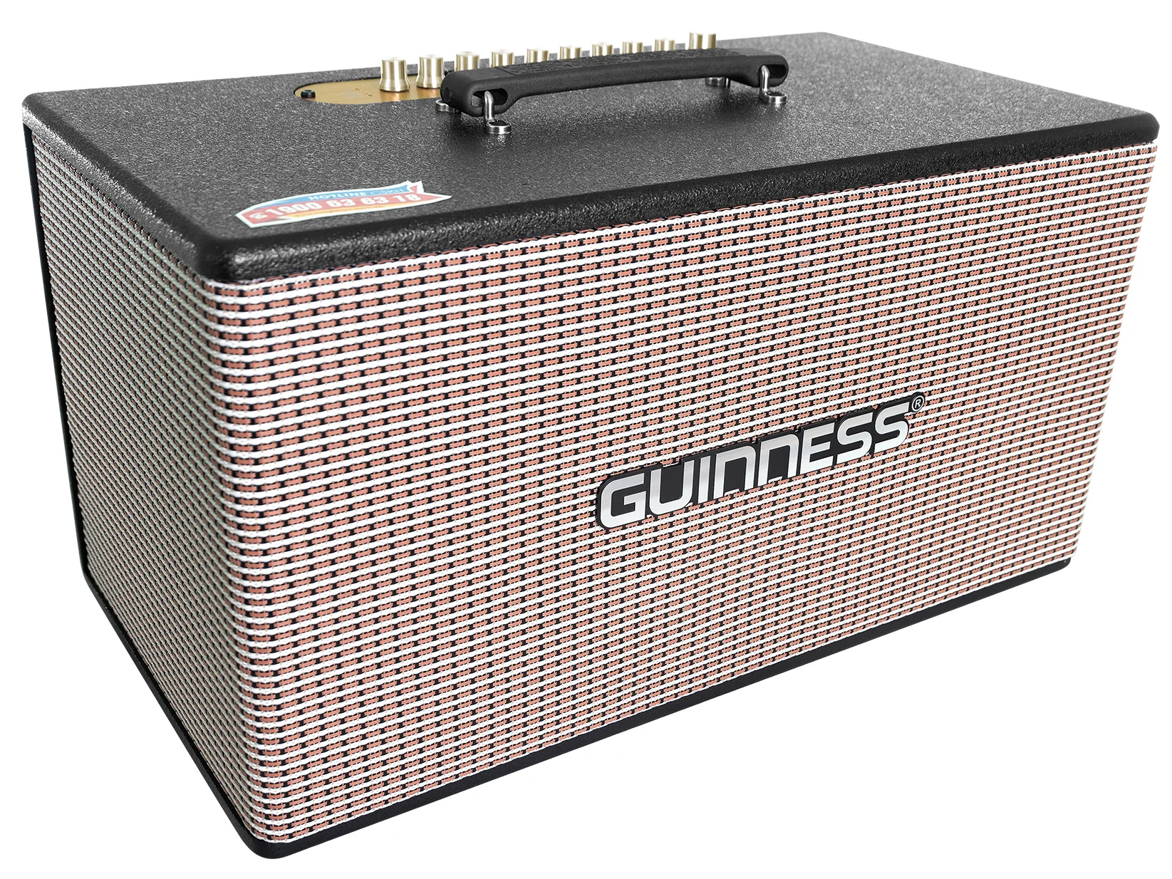 Loa Guinness GX305 - META.vn