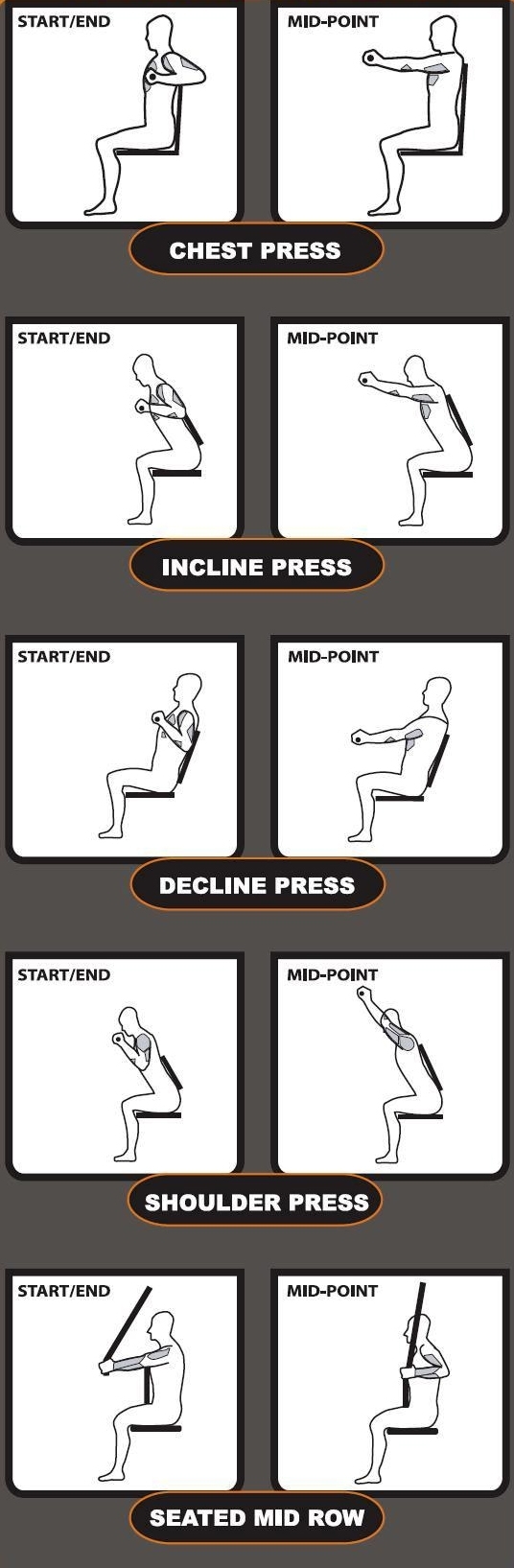 Giàn tạ đa năng Impulse IF1560 - META.vn