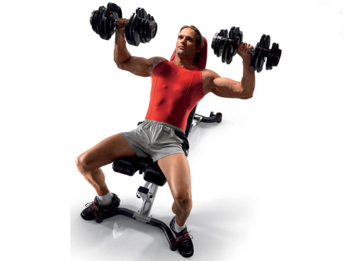 Ghế tập tạ Bowflex 522 - META.vn