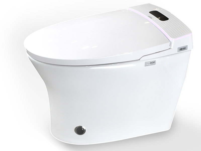 Bồn cầu thông minh Hiwin MT-666 - META.vn