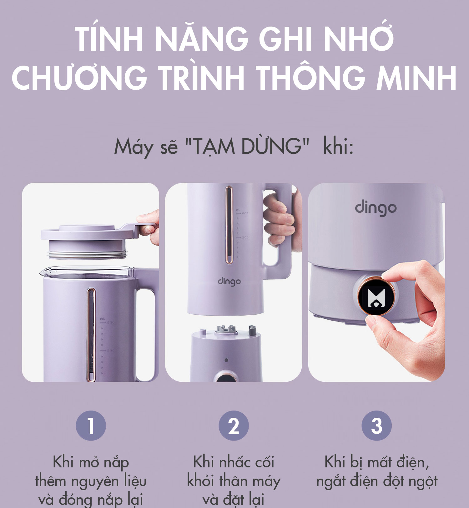 Máy xay nấu đa năng mini Dingo DCB500 - META.vn
