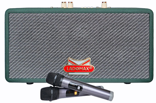 Loa Karaoke xách tay Ladomax HA-6210 - META.vn