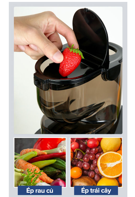 Máy ép chậm BlueStone SJB-6578 - META.vn