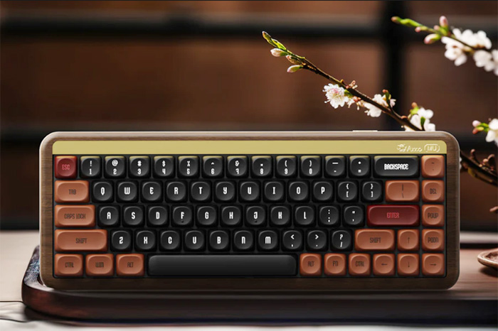 Bàn phím cơ AKKO MU01 Autumn (Hotswap,RGB / Multi-Modes/ Akko X TTC ...