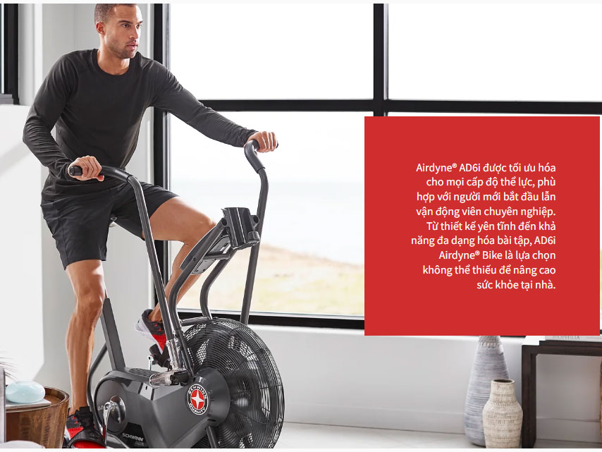 Xe đạp tập Airbike Schwinn Airdyne AD6i - META.vn